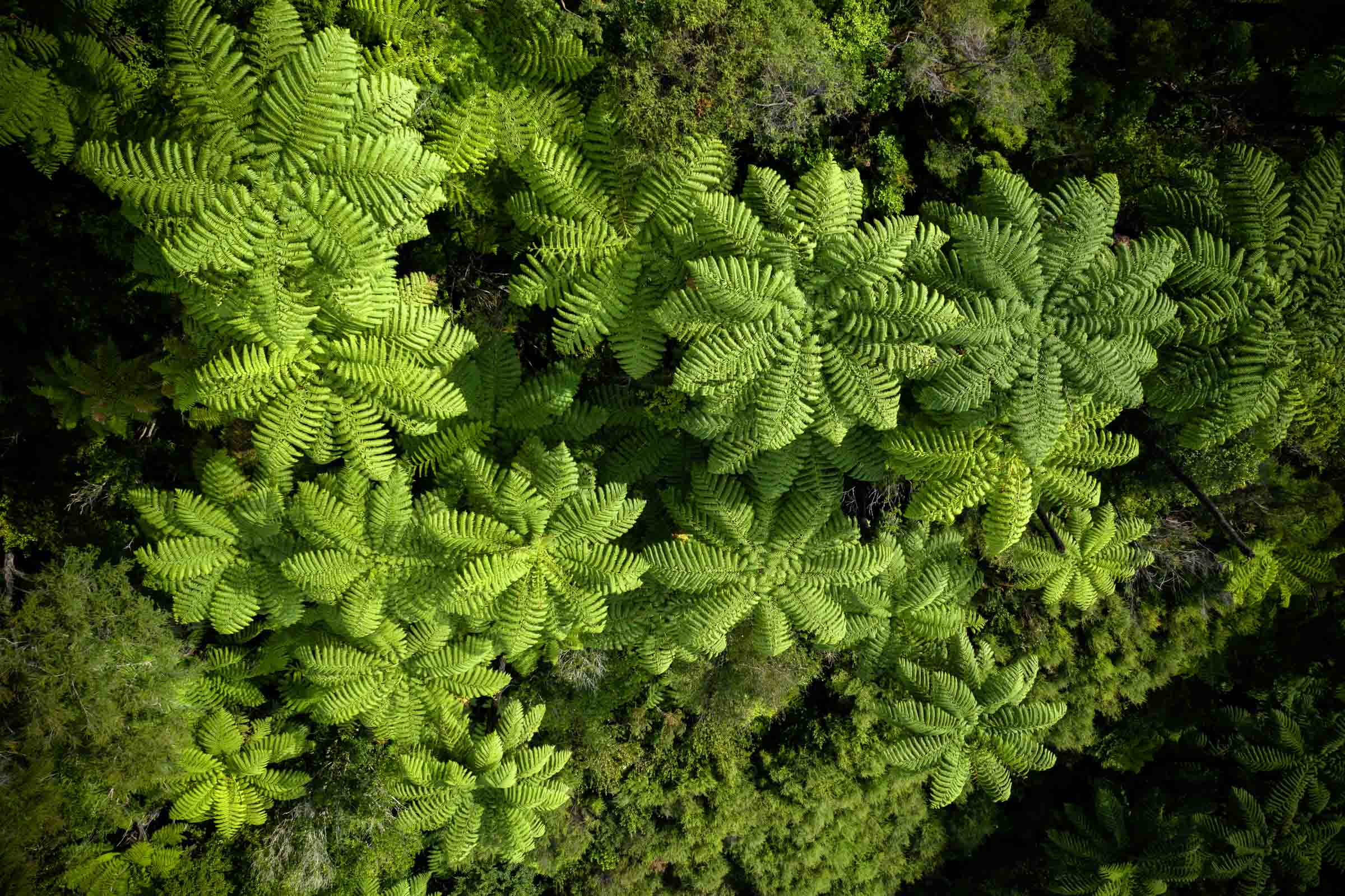 Our People - Waiū Dairy